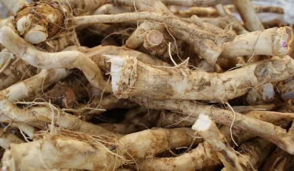 Kalkan Balığı Kaç Kalori? Nasıl Yapılır? Pratik Tarifi - AfiyetOla ...